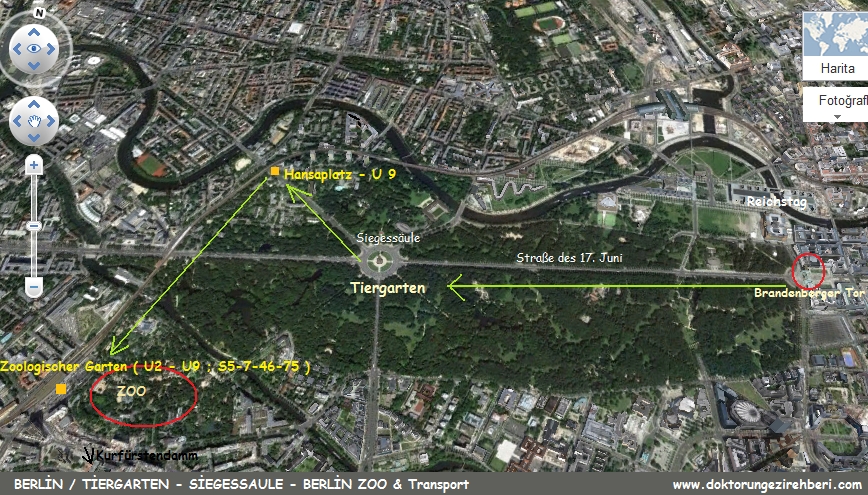 Doktorun Gezi Rehberi - Gezilecek Ülkeler